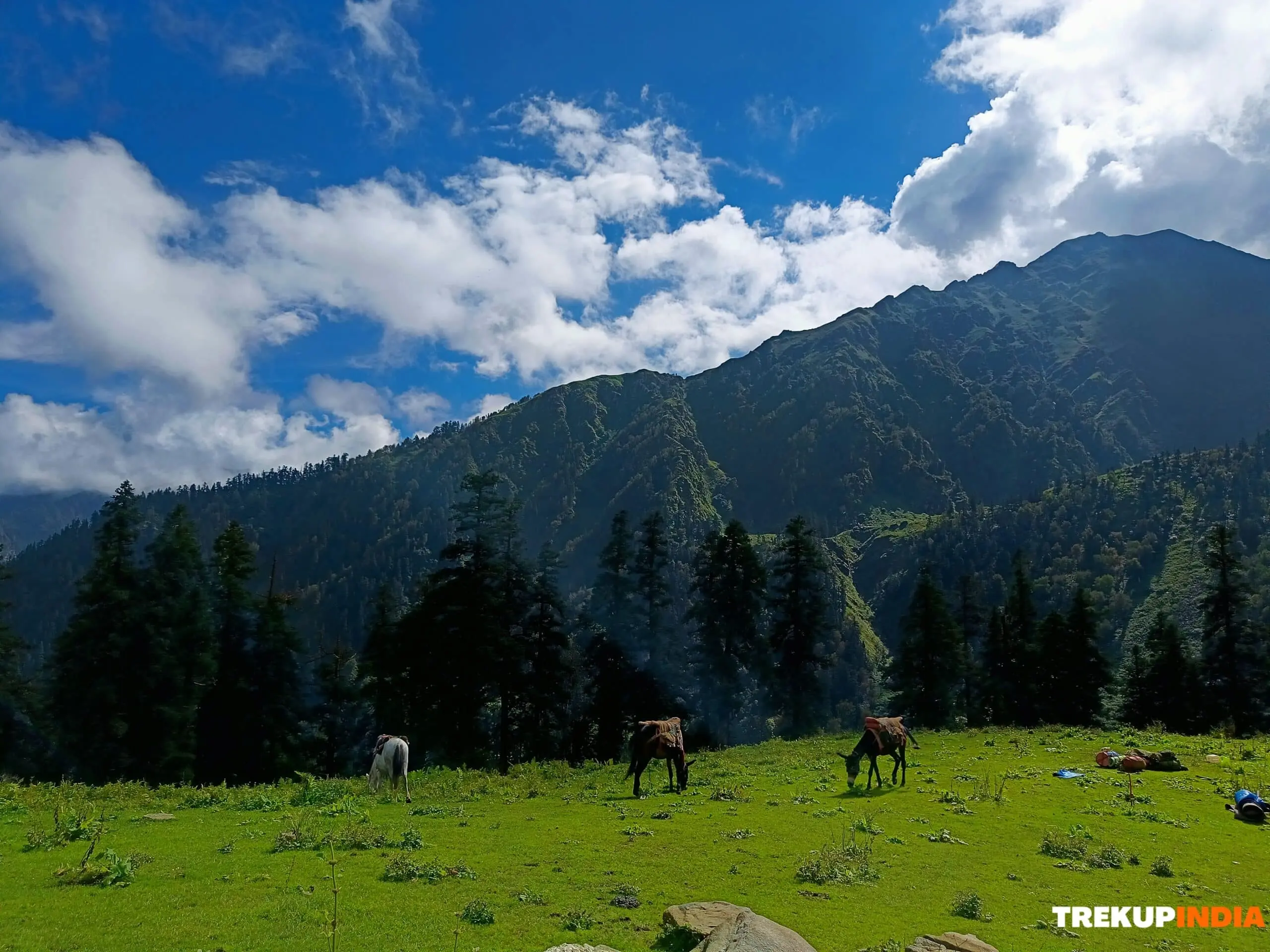 Valley of Flowers & Hampta Pass – Top Monsoon Treks in India