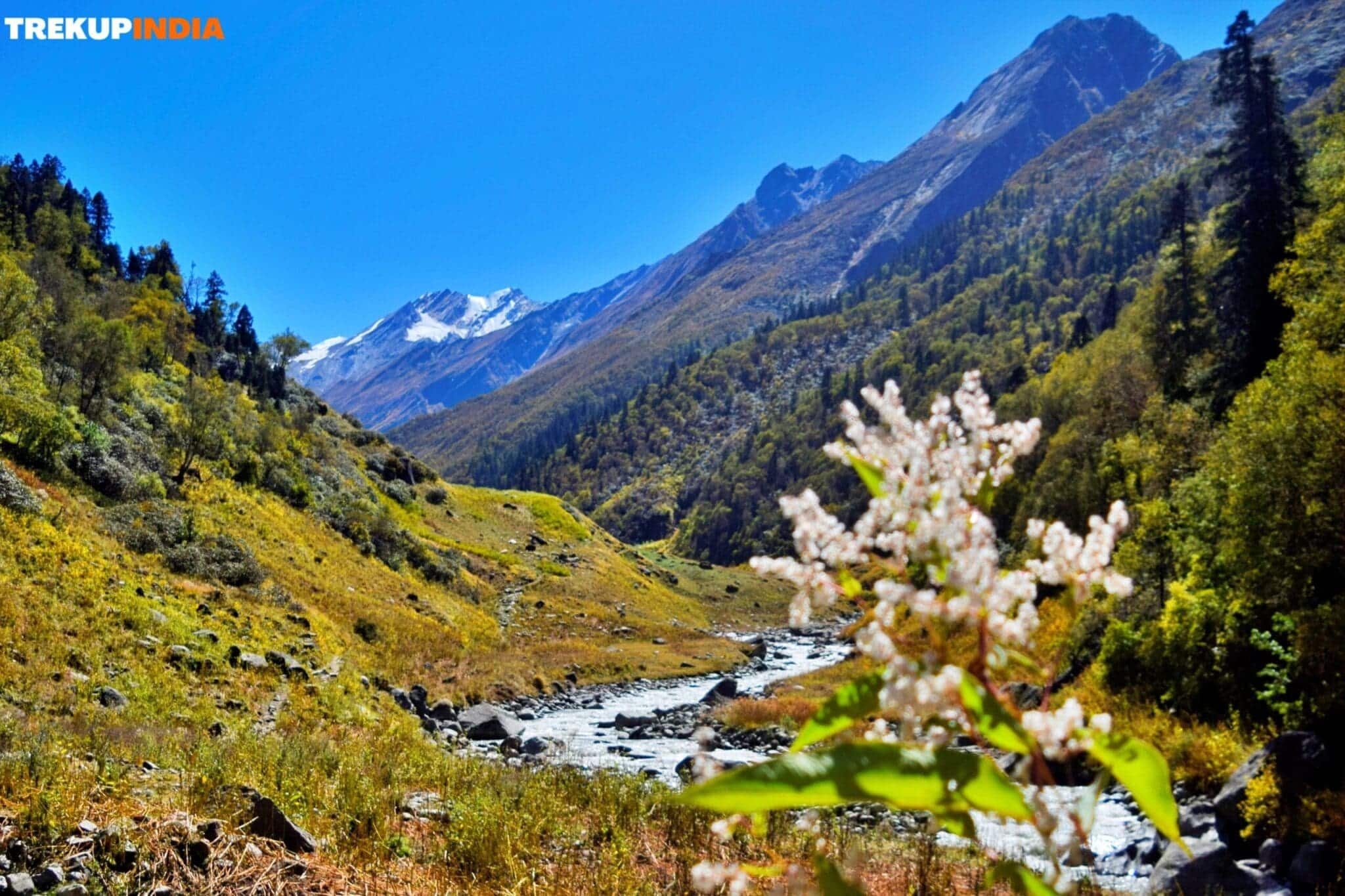 Bali Pass Trek | Itinerary, Video, Cost, Safety, Expert Tips