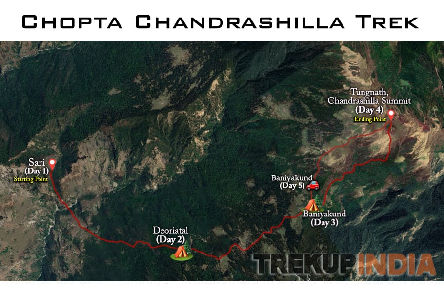 Chopta Chandrashila Trek - Itinerary, Reviews, Safety, Tips
