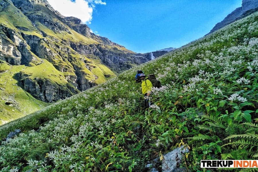 Rupin Pass Trek: Detailed Itinerary, Reviews, Safety, Tips