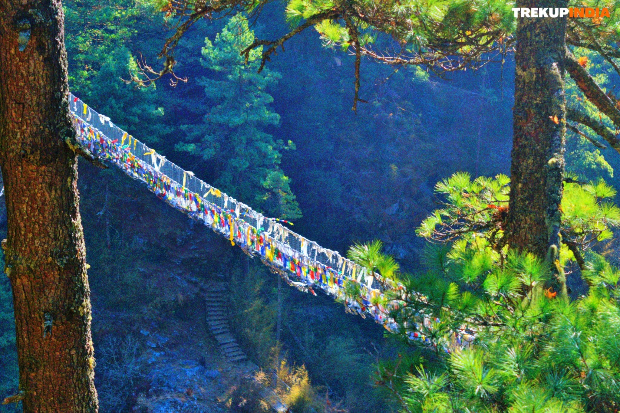 Everest Base Camp Trek | Itinerary, Cost & Tips | Trekup India