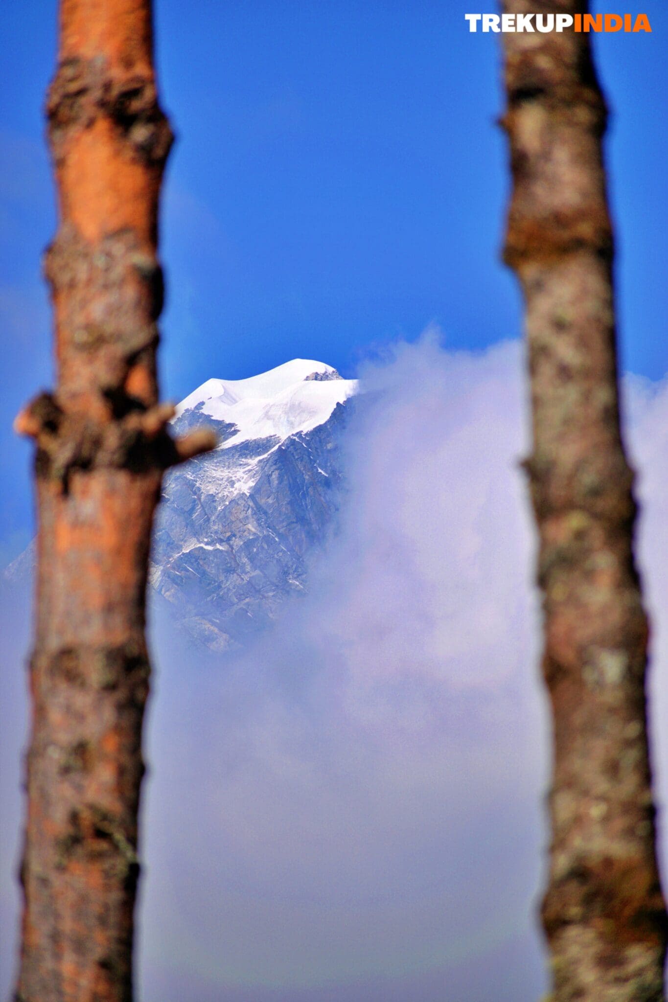 Everest Base Camp Trek | Itinerary, Cost & Tips | Trekup India